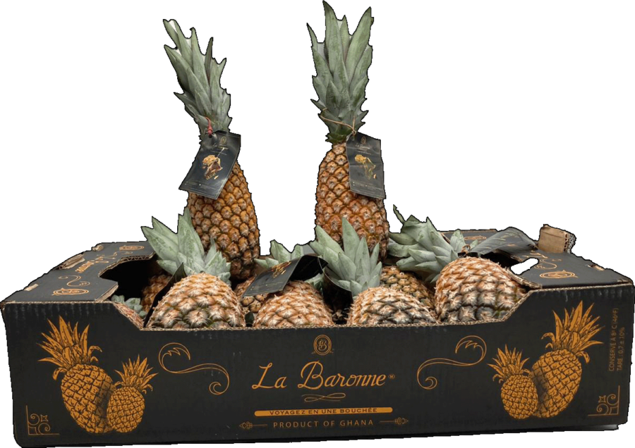 La Baronne - TK international - La Baronne